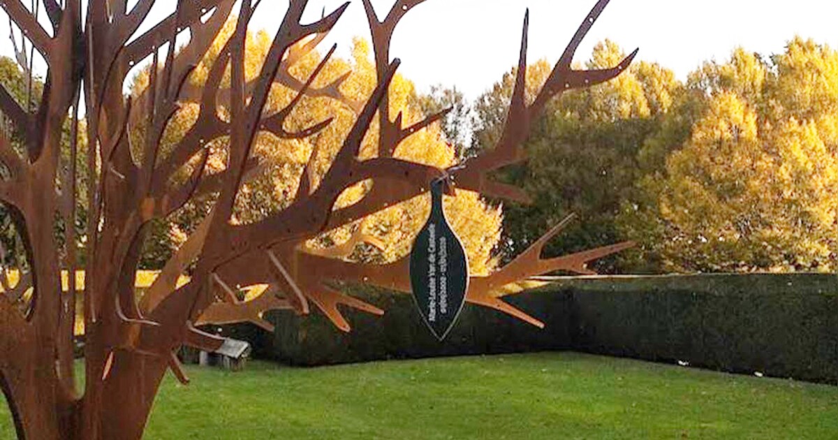 Gemeente Beveren legt register aan voor sterrenkindjes | Beveren | HLN.be