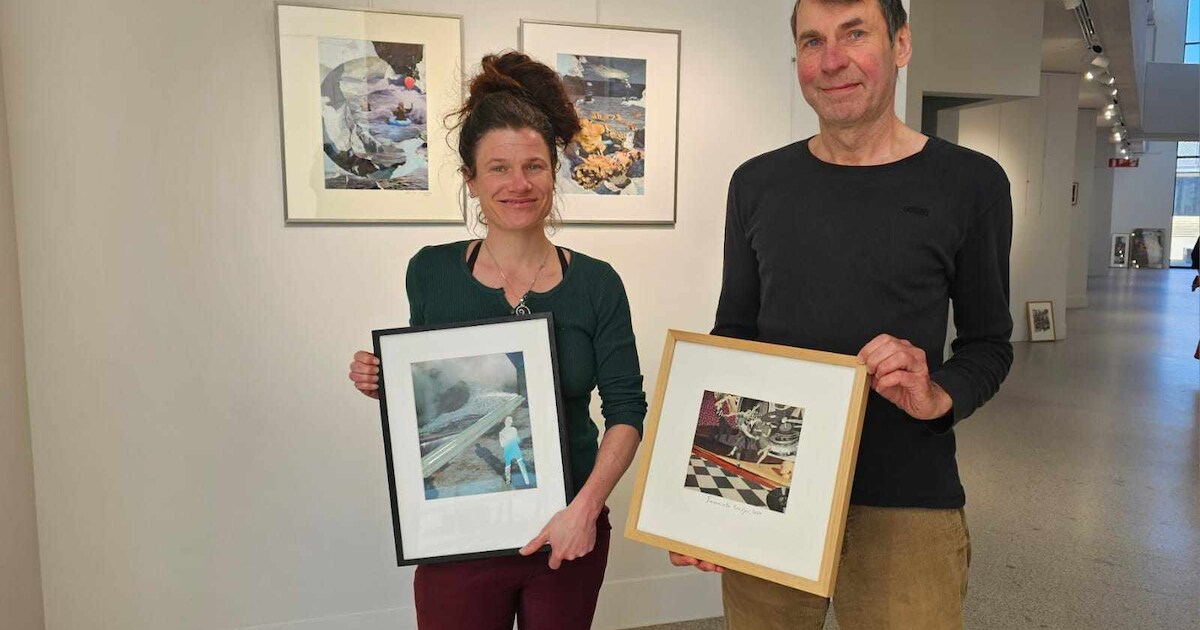 Collagekunst van Danny De Bock en Veerle de Grave in ‘t Blikveld ...