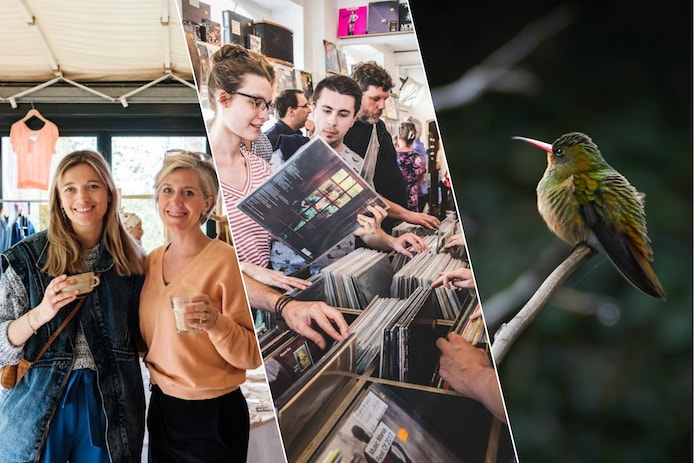 Wat te doen in Gent dit weekend? Lokale makers ontdekken, vogels ...