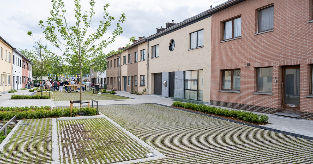 Wilrijkse tuinstraat Aziëlaan wint hoofdprijs op ‘Openbaargroen-awards ...