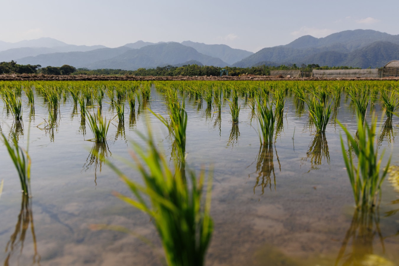 Taiwan opgeschrikt door aardbeving met magnitude 5 nabij Taipei | Foto ...