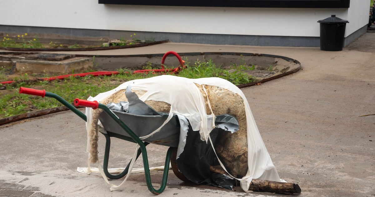 “De stank is niet meer te harden”: 8 dagen nadat man Rendac belt voor ...