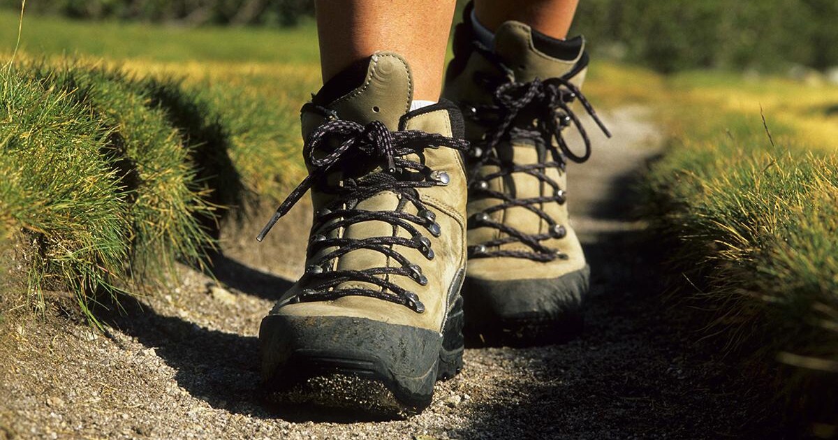 Schelle organiseert wandelzoektocht | Schelle | hln.be
