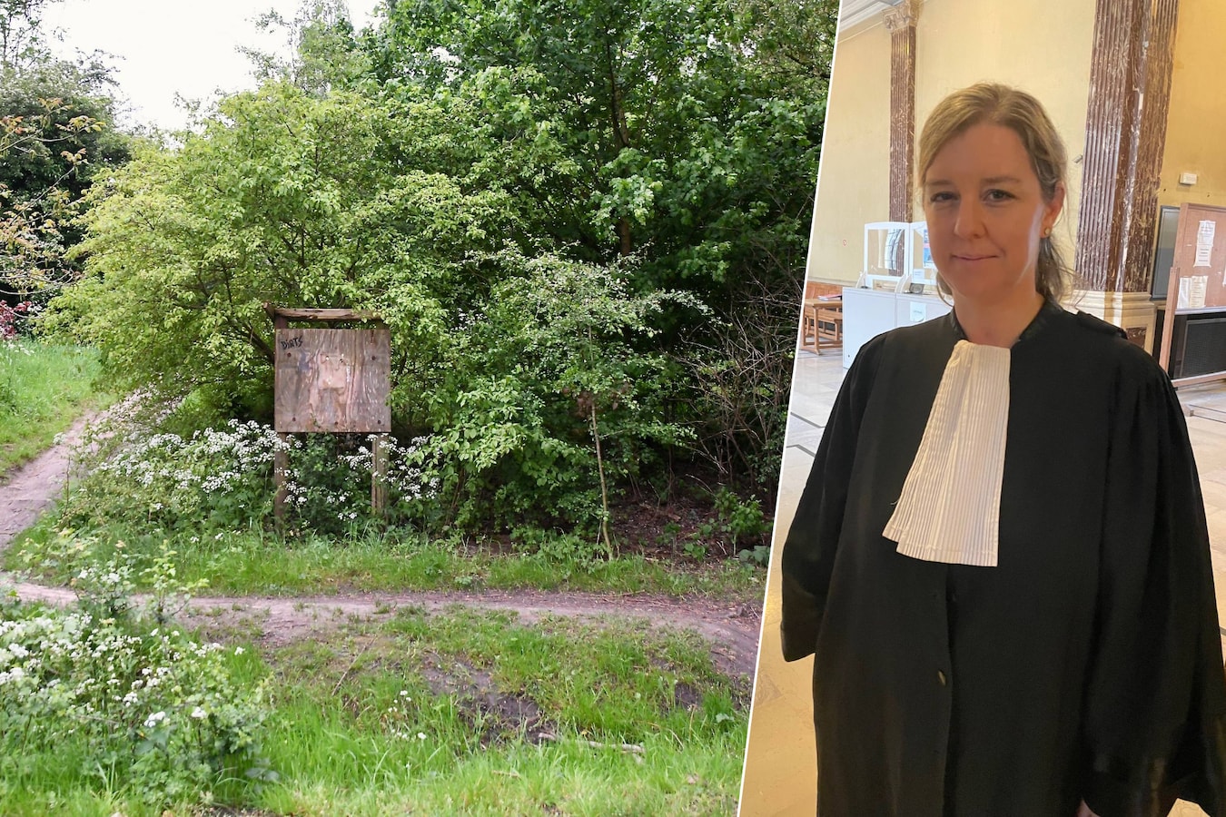 Van ‘Bommen en Granaten’ tot het assisenproces rond de moord op David ...