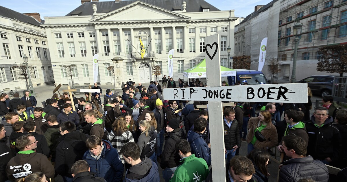 Boerenbond dreigt met juridische stappen tegen stikstofdecreet ...