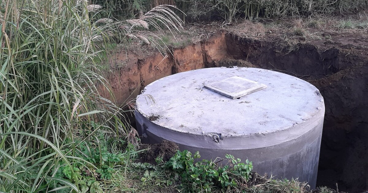 Bij hitte is je regenwaterput onmisbaar: hoe vermijd je vervuild water ...