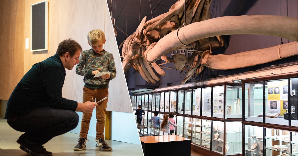 7 kindvriendelijke musea in Leuven en het Hageland: hier gaan cultuur ...