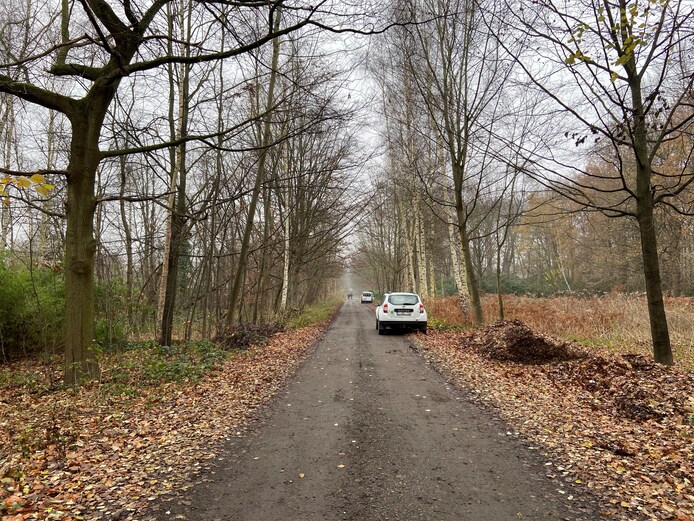 Schoten geeft startschot voor beheer Bonte Hannek: wandelaars ontdekken ...