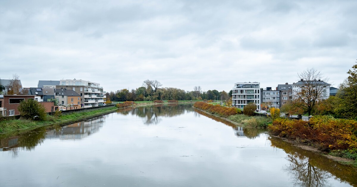 Groen vraagt naar openwaterzwemmen in Duffel: “Wonen in gemeente aan ...