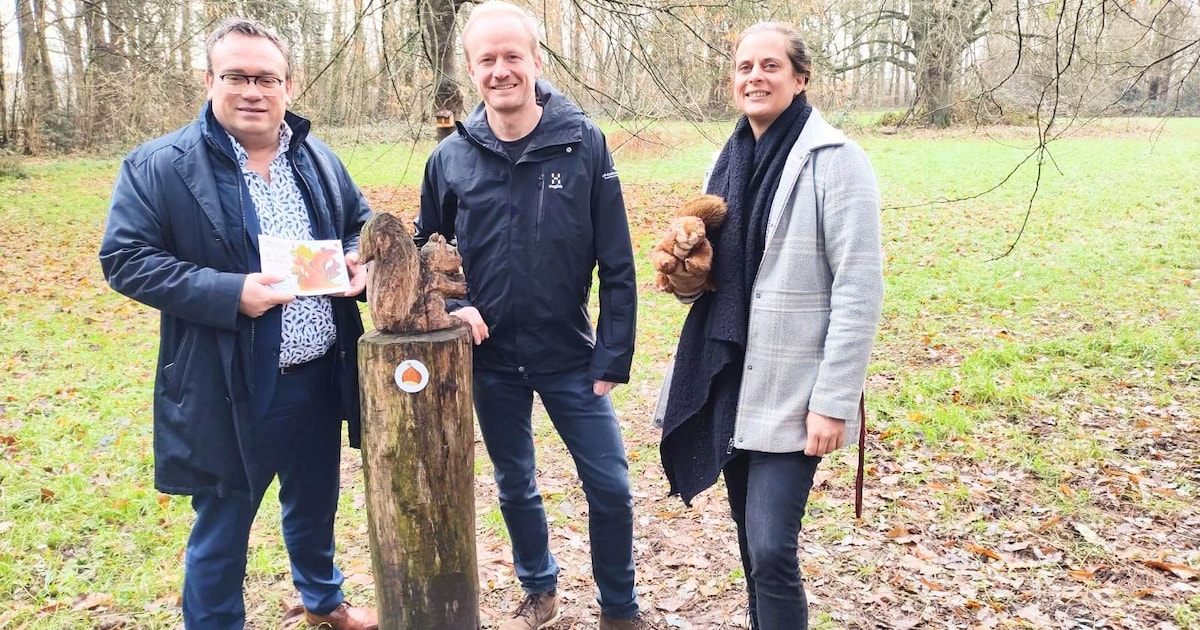 VAKANTIETIP. Op zoek met eekhoorn Pluimpje in De Blankaart | Diksmuide ...