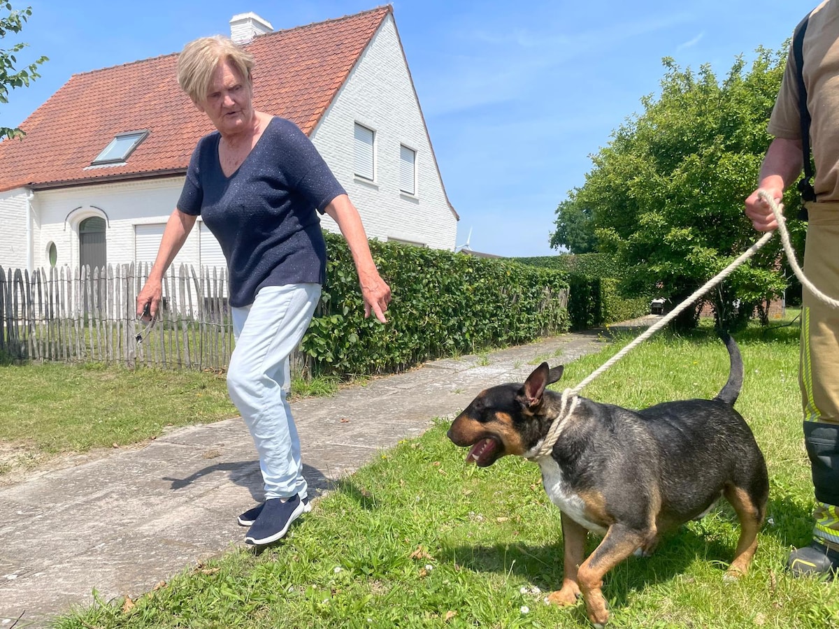 “Straks zal ik wel een traantje laten van de spanning”: Marijke vliegt ...