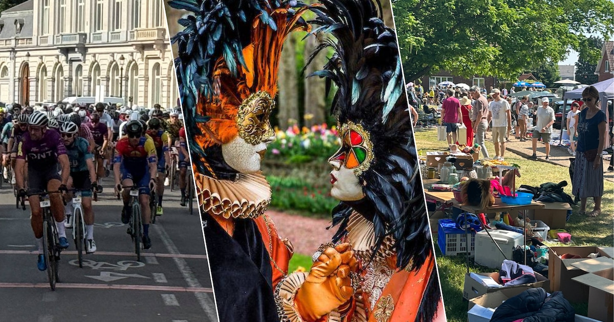 Wat te doen dit weekend in Brussel, de Rand en het Pajottenland? Van ...
