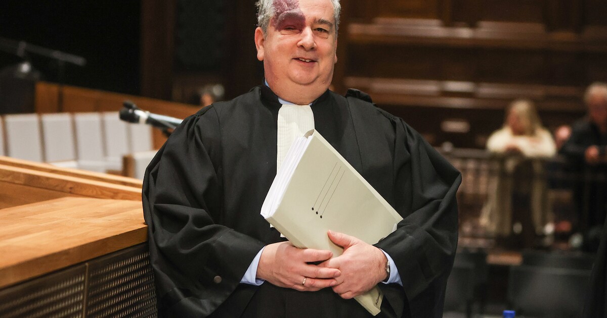 “Alle elf schuldig aan de zwaarste feiten”: burgerlijke partijen ...