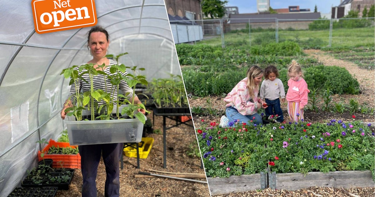 NET OPEN. Katlijn (47) verwelkomt je in Pluktuin in Gent: “Combinatie ...