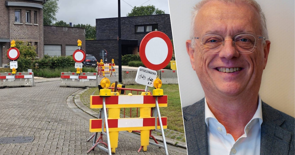 Proefperiode knip Leemanslaan verlengd met zes maanden: “We bekijken of ...