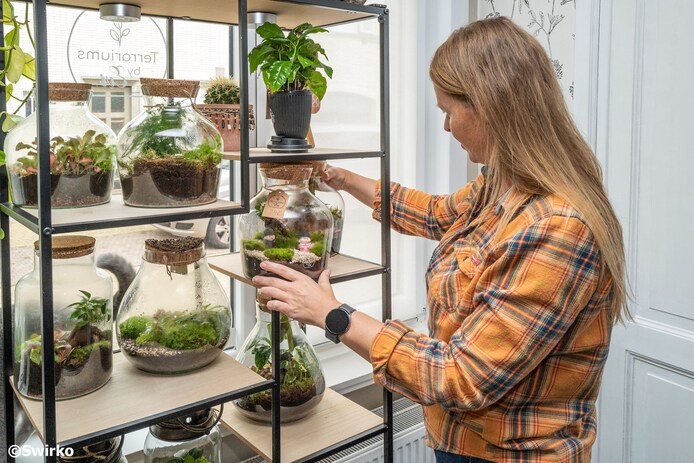 Aalsterse start met ‘Terrariums by Evi’: “Je moet de plantjes bijna ...