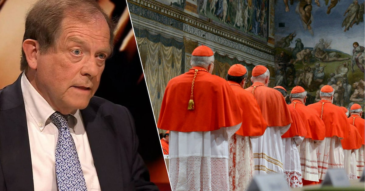 Is meerderheid van kardinalen homoseksueel, zoals onder meer Rik Torfs ...