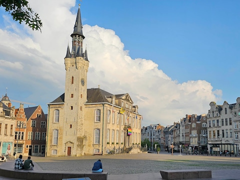 Nieuw reglement moet Lierse verenigingen minder administratie opleveren ...