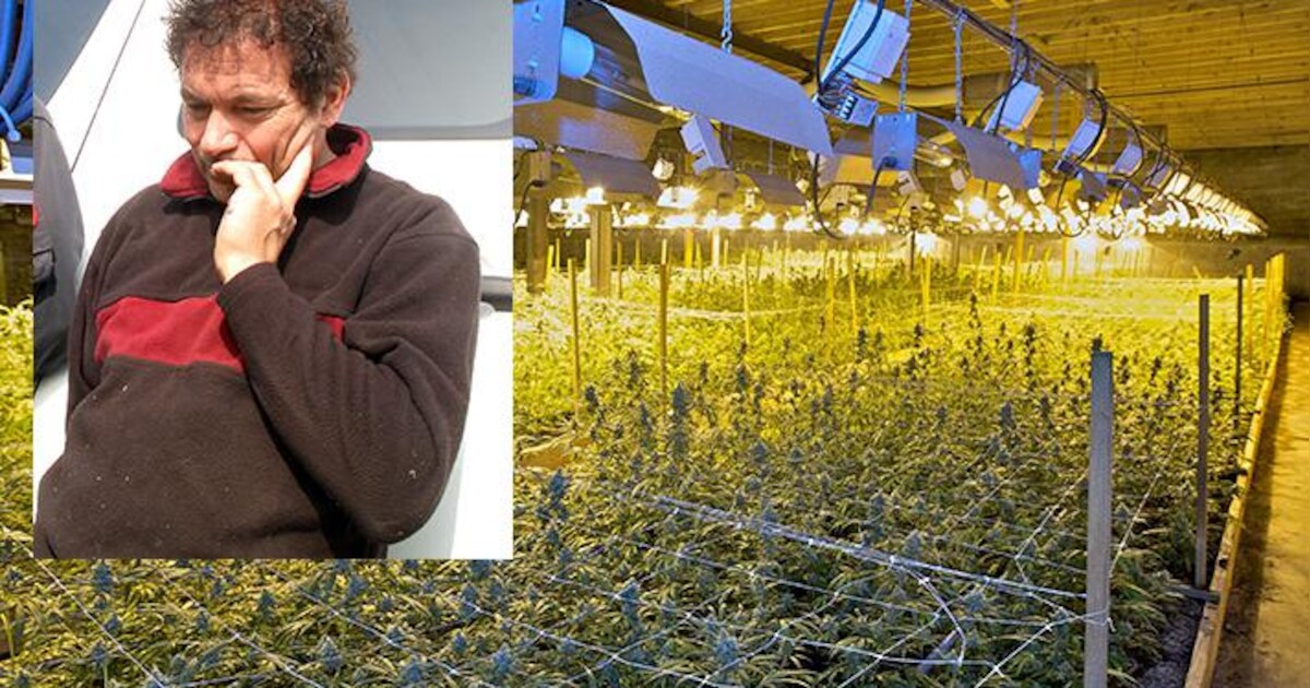 Vijf jaar cel voor cannabisboer Lagrou | Default | HLN.be