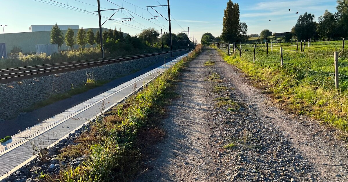 STERK! hekelt gevaarlijke situatie langs drukste spoorlijn van België ...