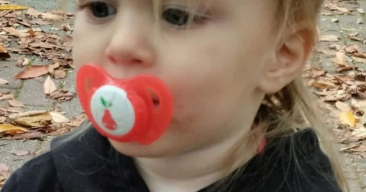 Frans meisje (2) dood aangetroffen vlak bij Belgische grens: moeder en ...