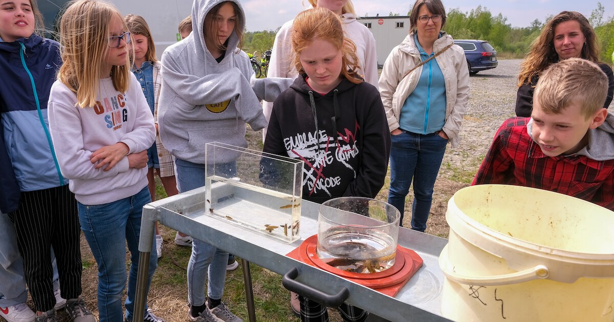 GO!-basisschool Wonderwijs is peter van natuurgebied Bos van Aa en ...