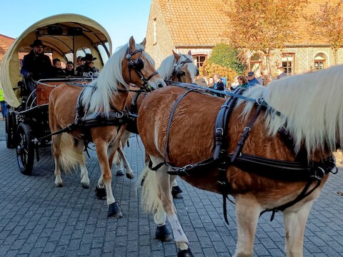 Sint-Hubertusviering lokt opnieuw massa volk naar Markegem | Dentergem ...