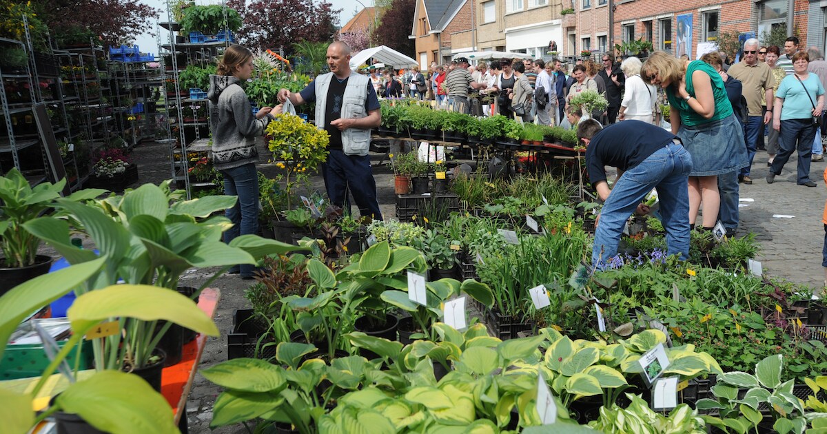 Hombeek verliest zijn evenement van het jaar: “Vervangen Nationale ...
