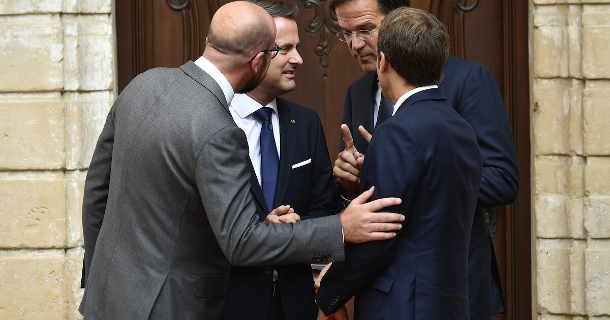 Migratie kan ook gezellig zijn | De Krant | HLN.be