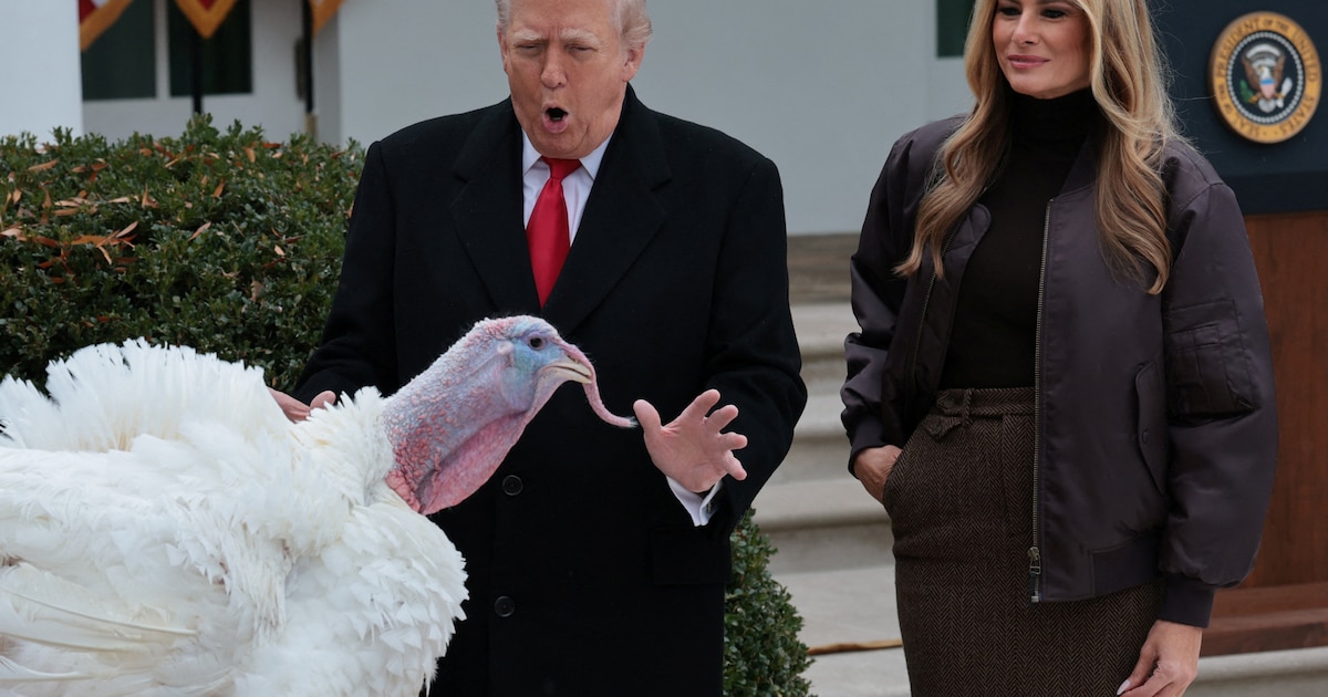 Trump verleent traditiegetrouw gratie aan kalkoenen Gobble en Waddle in ...