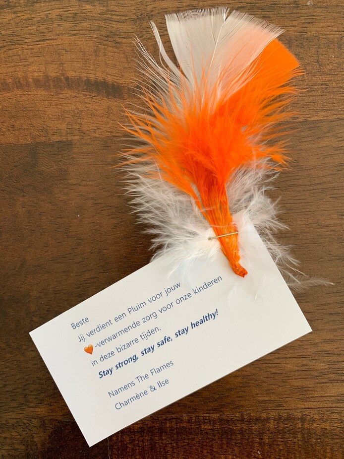 IN BEELD. The Flames geven een pluim aan Hechtel-Ekselse leerkrachten ...