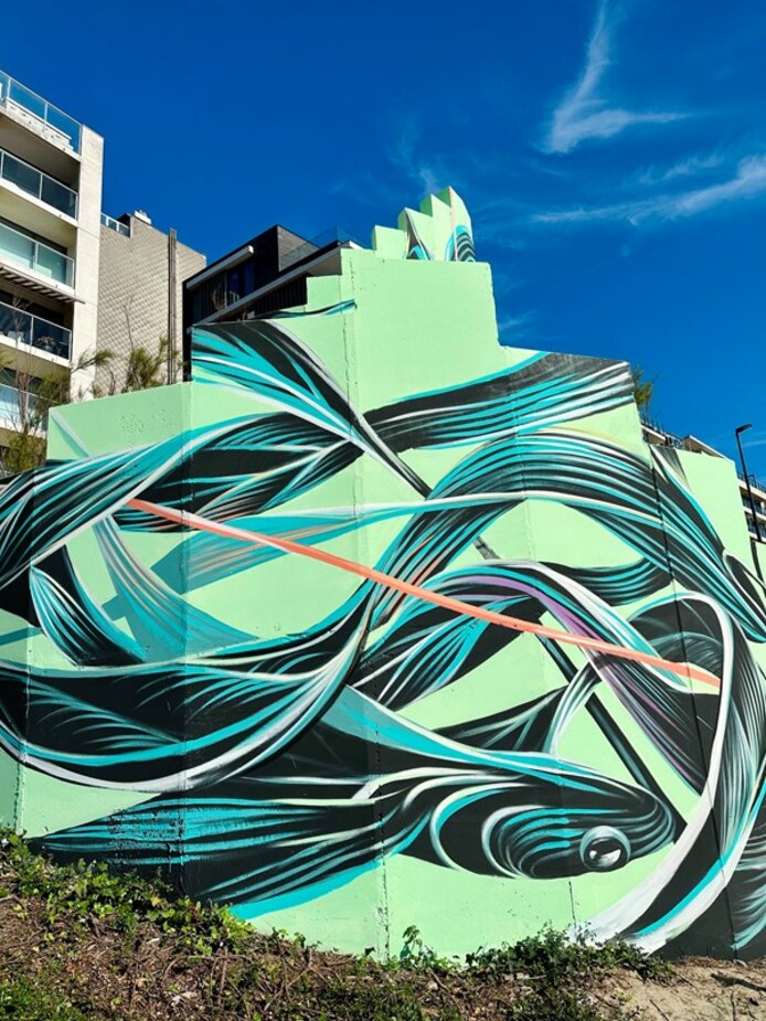 Bekende Portugese straatkunstenaar geeft saaie zuil kleurrijke make ...