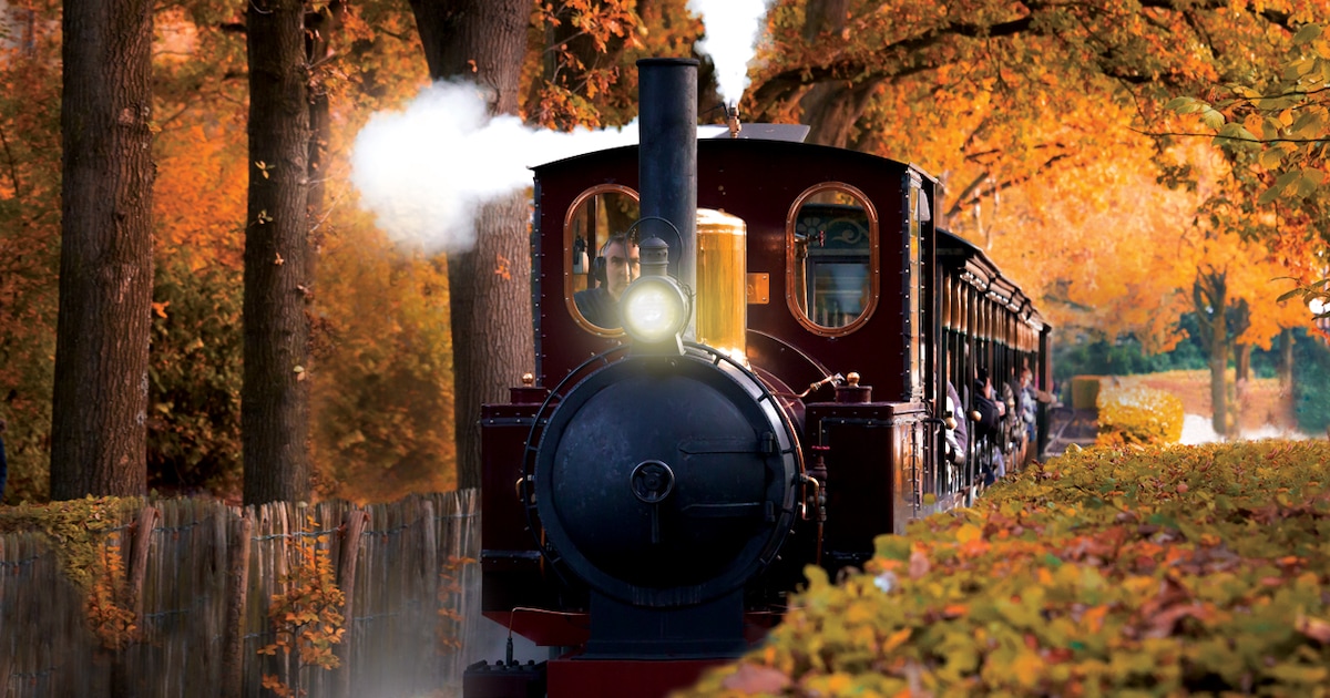 Stoomtrein in Efteling wordt elektrisch om klimaatdoel te halen ...