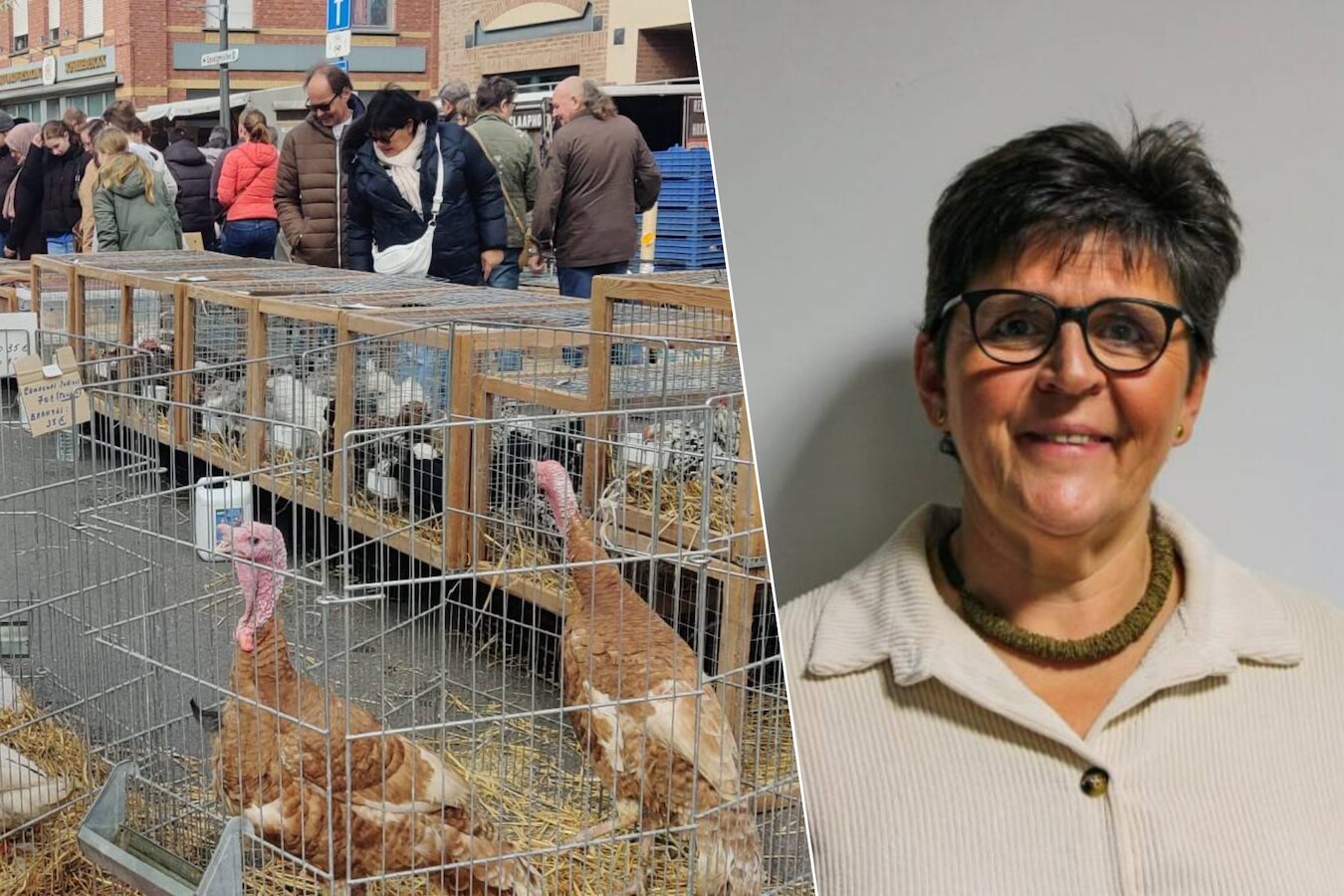 Wekelijkse dierenmarkt in Mol na 140 jaar beperkt tot 8 edities per ...