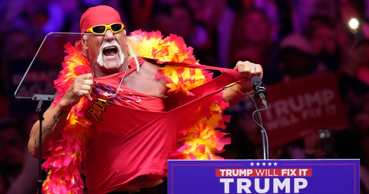 Doodsoorzaak acteur en oud-worstelaar Hulk Hogan bekend | Showbizz | HLN.be