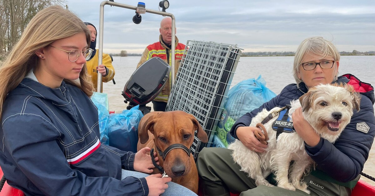 Terry en dochter Silke geëvacueerd uit hun door water omsingeld huis ...