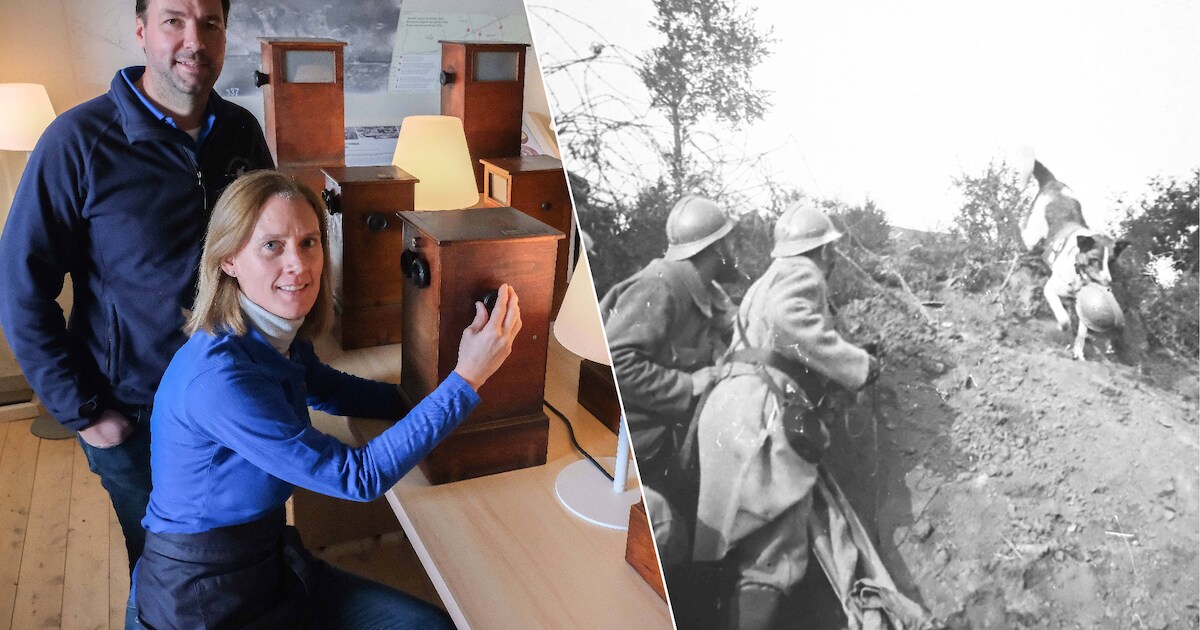 IN BEELD. Historische foto’s uit Eerste Wereldoorlog tonen rauwe ...