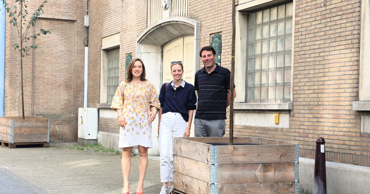 Pop-up bos in centrumstraten laat buurt al eens proeven van toekomstig ...