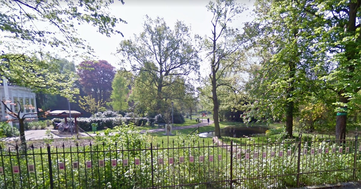 Beschermde hekken George Van Raemdonckpark worden gerestaureerd ...
