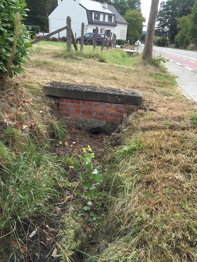 Grachten langs N29 potdicht door slecht onderhoud | Foto | hln.be