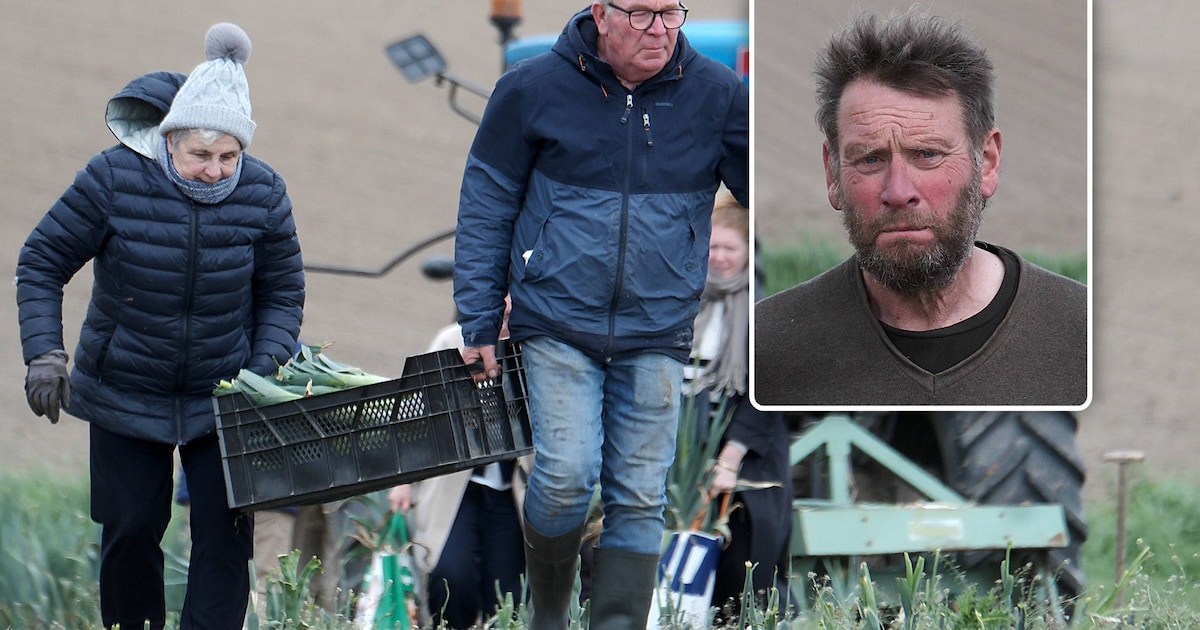 Bioboer Kristof (59) bleef zitten met 25.000 kilo prei, maar nu ...