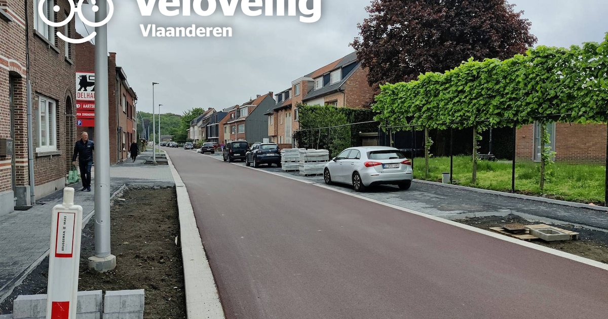 VeloVeilig Vlaanderen. Aartselaar opent nieuwe fietsstraat in Lindelei ...