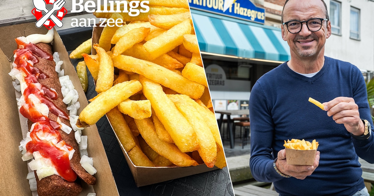 10 op 10! Luc Bellings vindt het perfecte pakje friet met mayo en ...