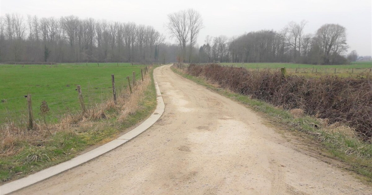 Bart Seghers trekt zich terug uit dagvaardiging 'trage weg 43 ...