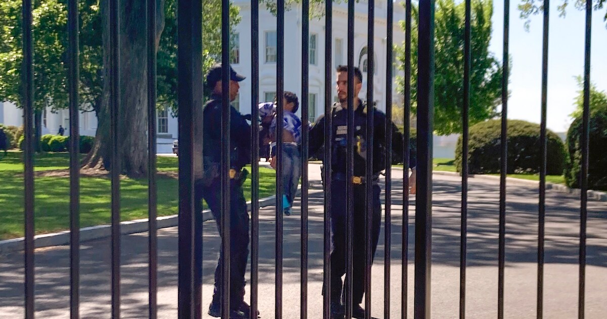 Witte Huis krijgt bezoek van 2-jarige indringer | Het leukste van het ...