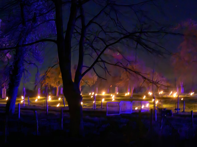 IN BEELD. Bilzen trapt toeristisch seizoen af met bloesemfestival ...
