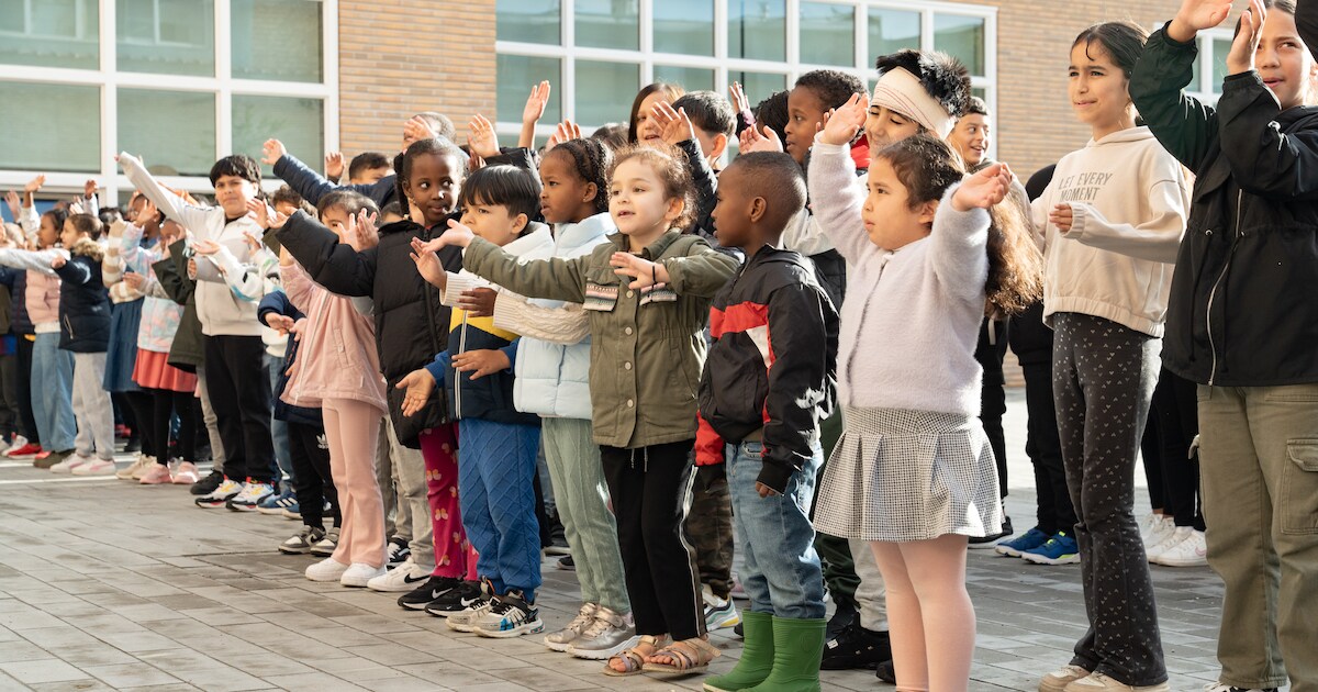 Is dit de mooiste school van Antwerpen? Creatopia op het Kiel heropent ...