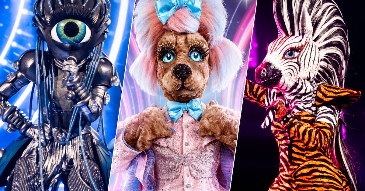 “Zita Wauters is hoofdverdachte voor niet één, maar twee pakken”: onze man speurt mee naar ‘The ...