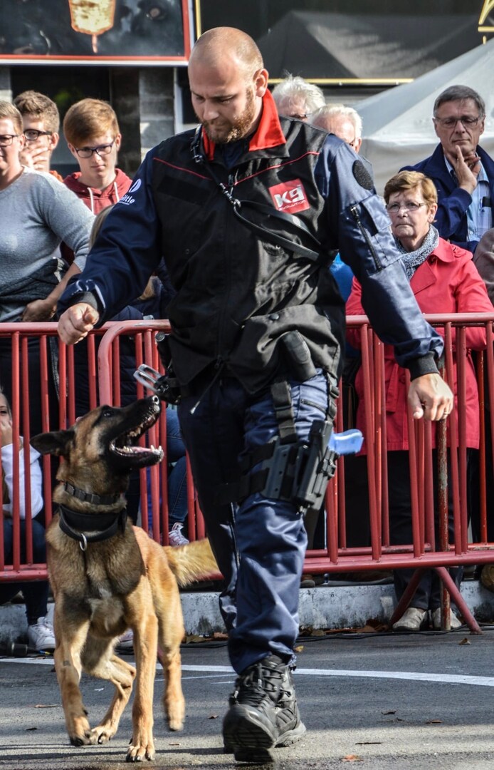 Overlijden politiehond Thor dompelt korps in diepe rouw: “Hij leek ...