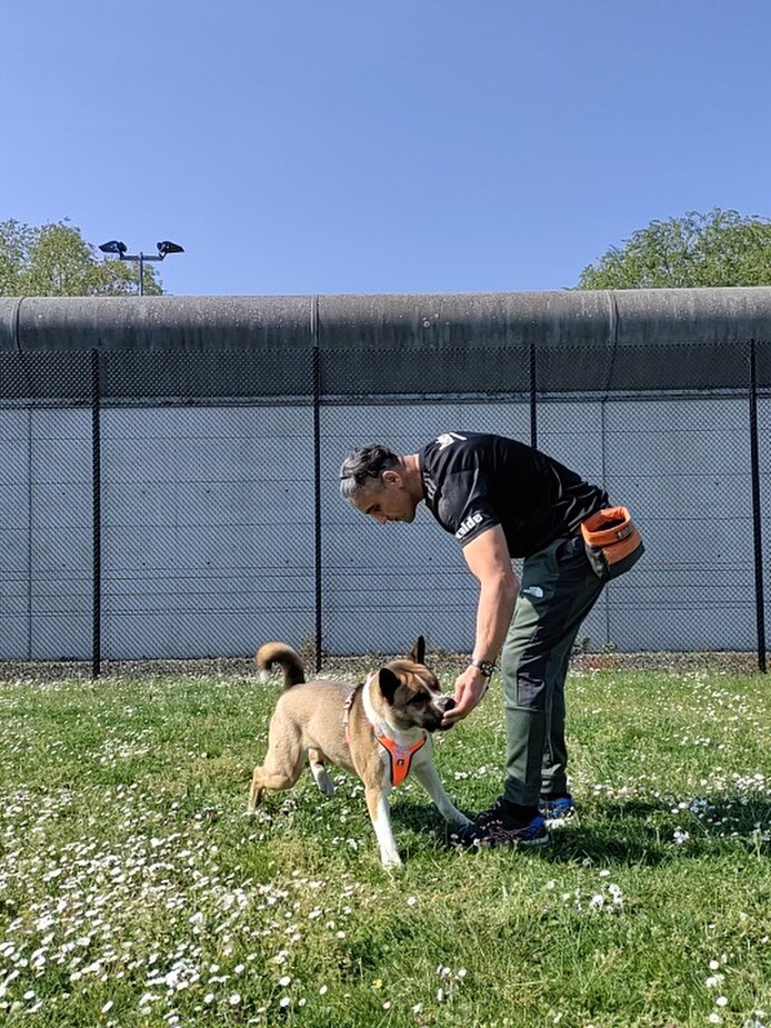 Asiel- en dierencentrum Zilveren Mandje houdt opendeurdag | Lokeren ...